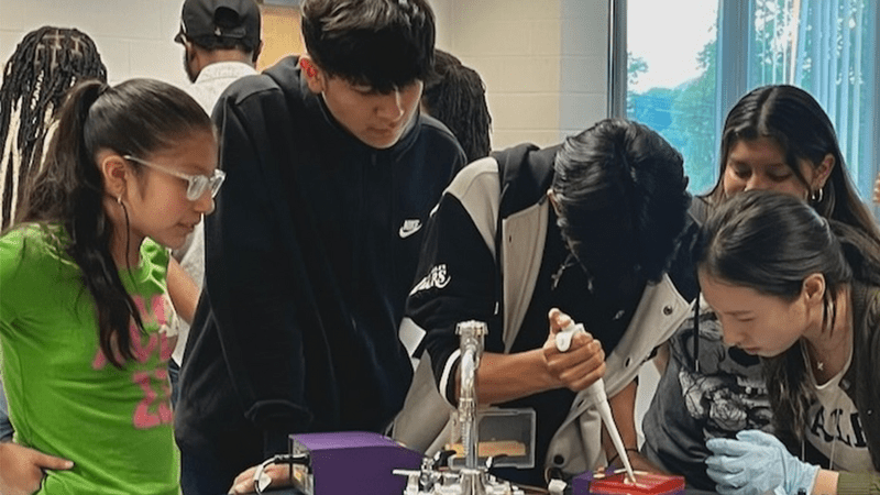 Teach the teachers: How one molecular genetics professional development ...