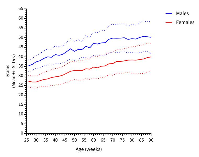 Body Weight Info - Aged B6 (000664) | The Jackson Laboratory