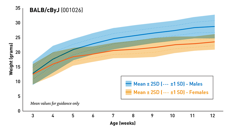 Body Weight Information for BALB Bailey Jackson