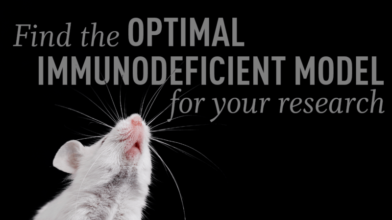 Top Tips on Selecting the 'Best' Immunodeficient Mouse Model for Your ...