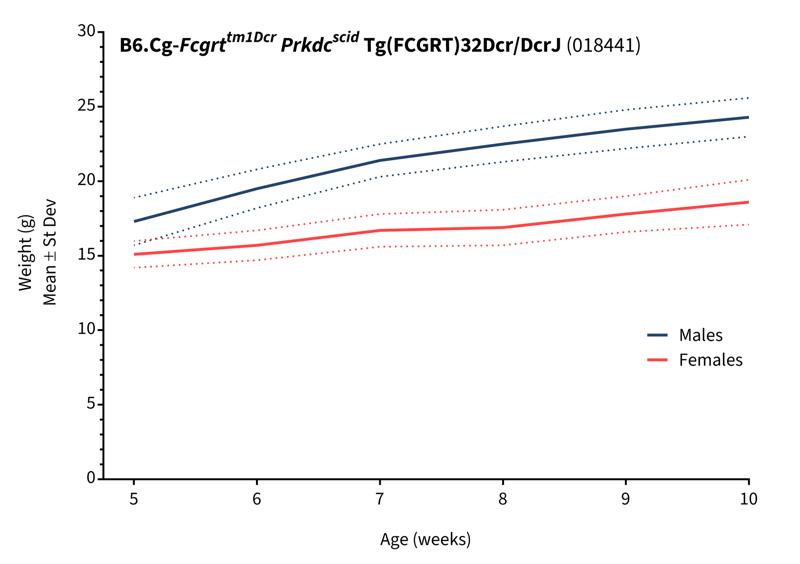 Body Weight Info - scid hFcRn Tg32 | The Jackson Laboratory