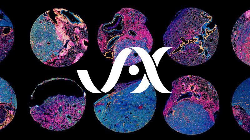 Videos from The Jackson Laboratory