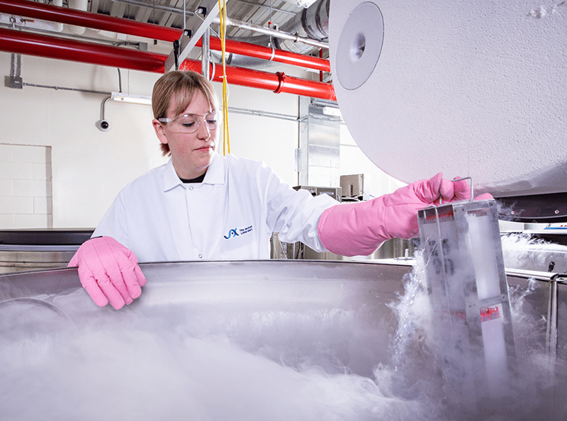 Frozen Embryos And Sperm | The Jackson Laboratory
