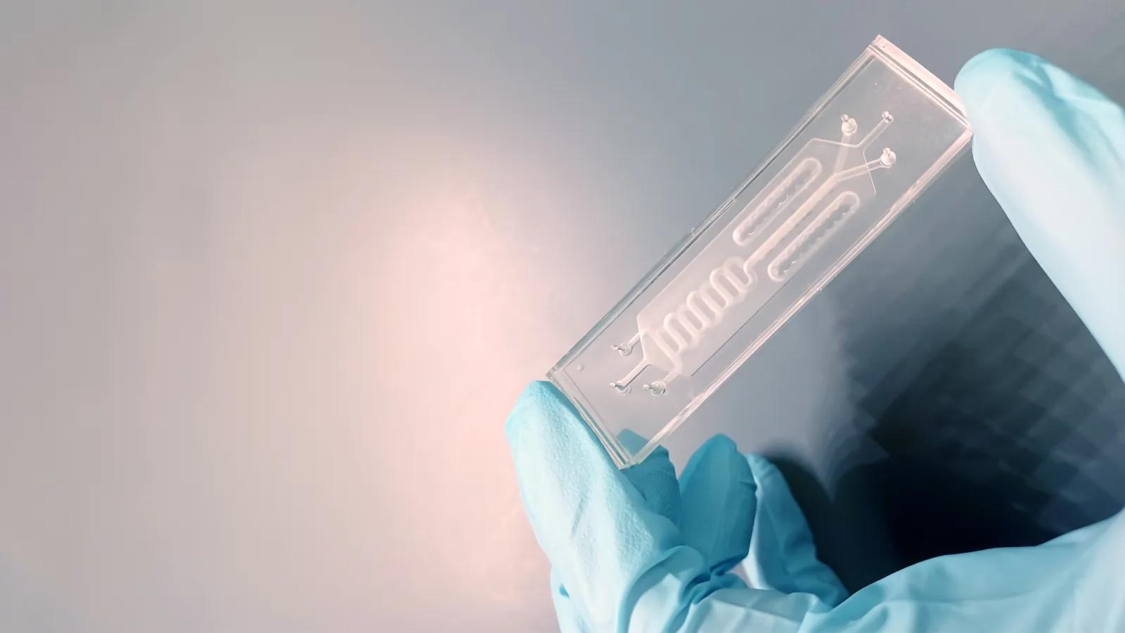 Engineering the future of cancer research with patient-derived organ-on ...