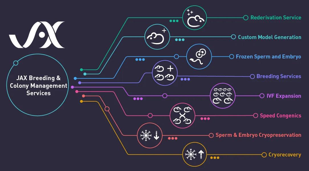 Breeding & Colony Management Services | JAX