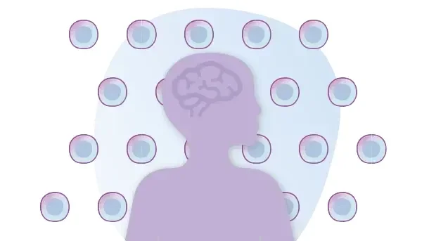 What stem cells tell us about autism and other developmental brain ...